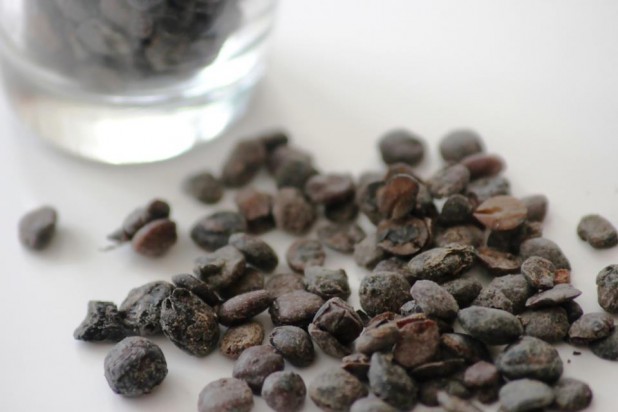 Le Nététou: condiment traditionnel d’Afrique de l’Ouest