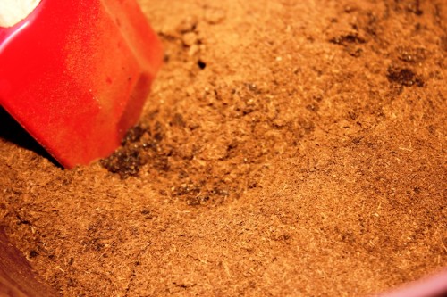 Mélange d'épices pour le Mbongo - Alice Pégie Cuisine