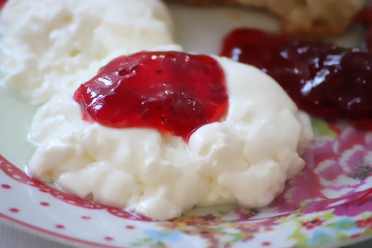 Le lait caillé (leben ou lben ou laban ) - Alice Pégie Cuisine