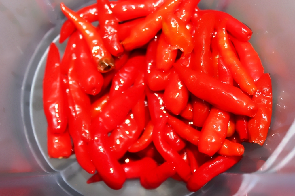 Kammon Hoot (Harissa Libyen) - Alice Pégie Cuisine